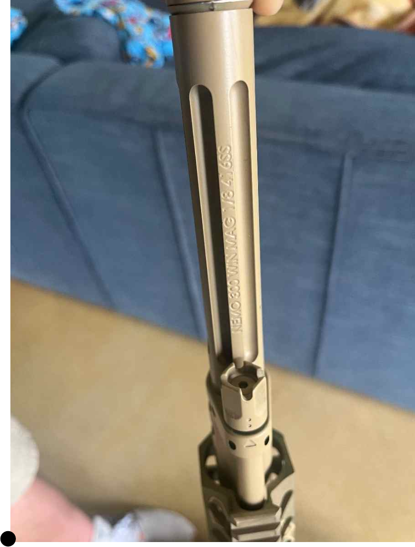 WTT: - Nemo Omen - 300 WM (for something cool) | The FAL Files